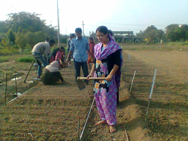 Farming Implements: Implement for weeding