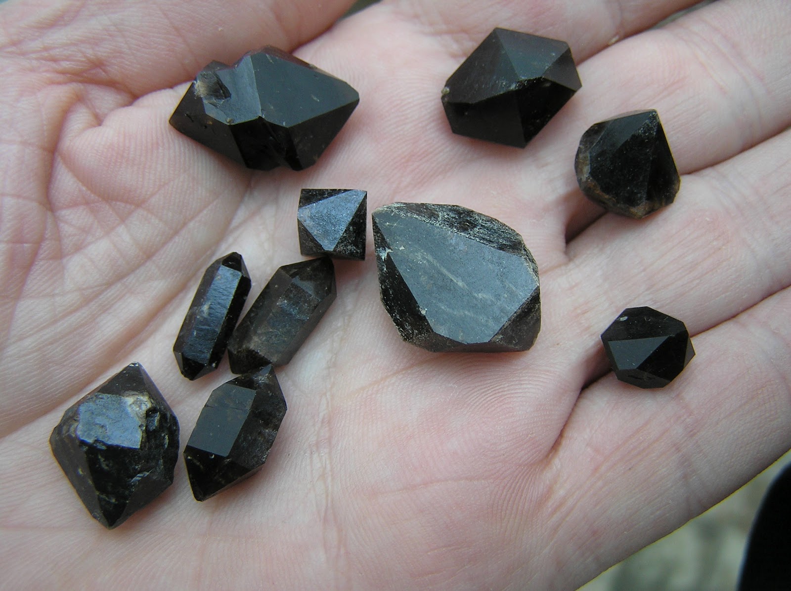 Alma biológica: Cuarzo morión