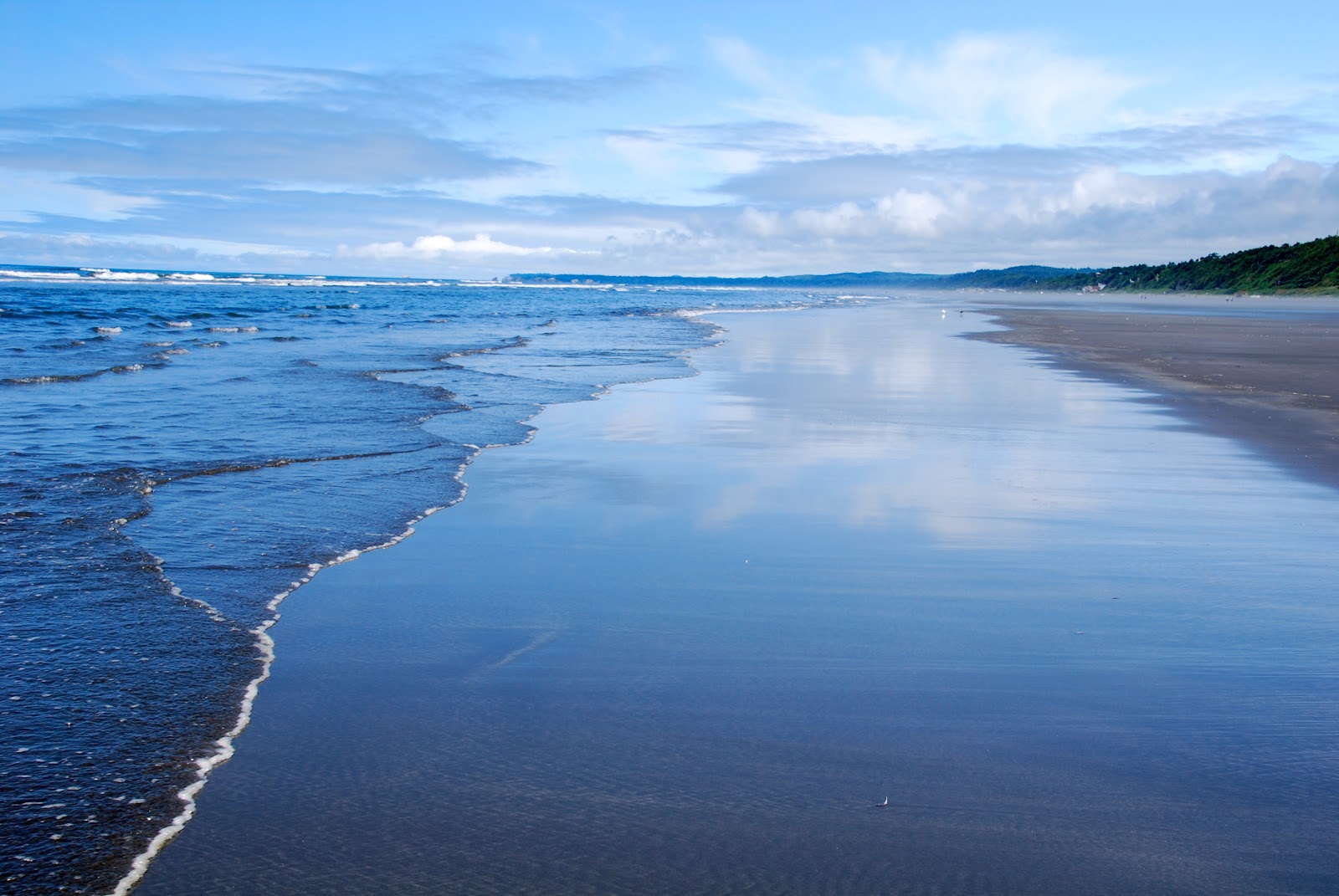 Wanderlust Traveler: Pacific Beach, Washington (Lodging, Dining, and ...