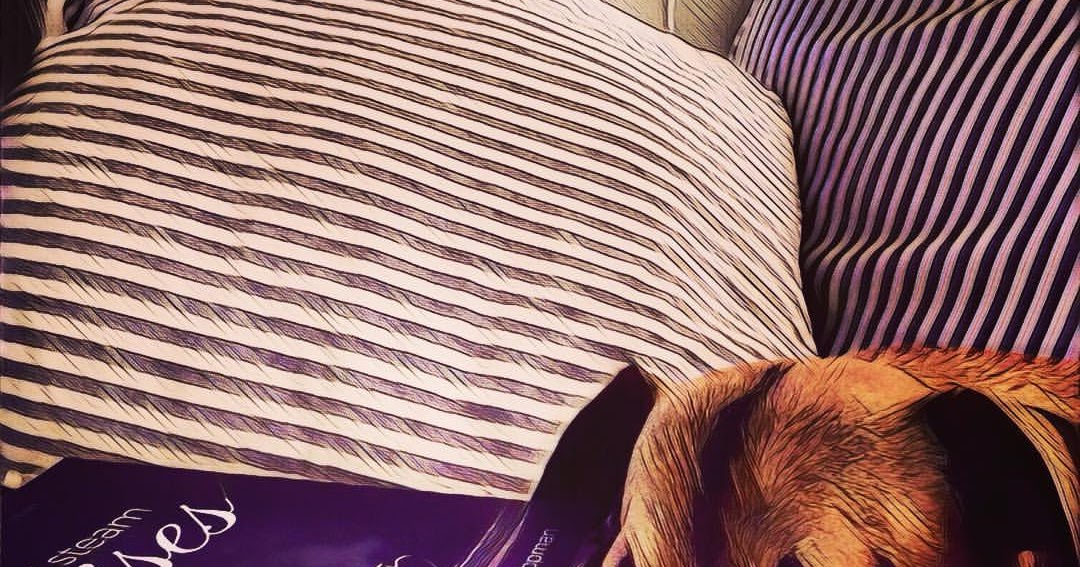 David Michael Lippman