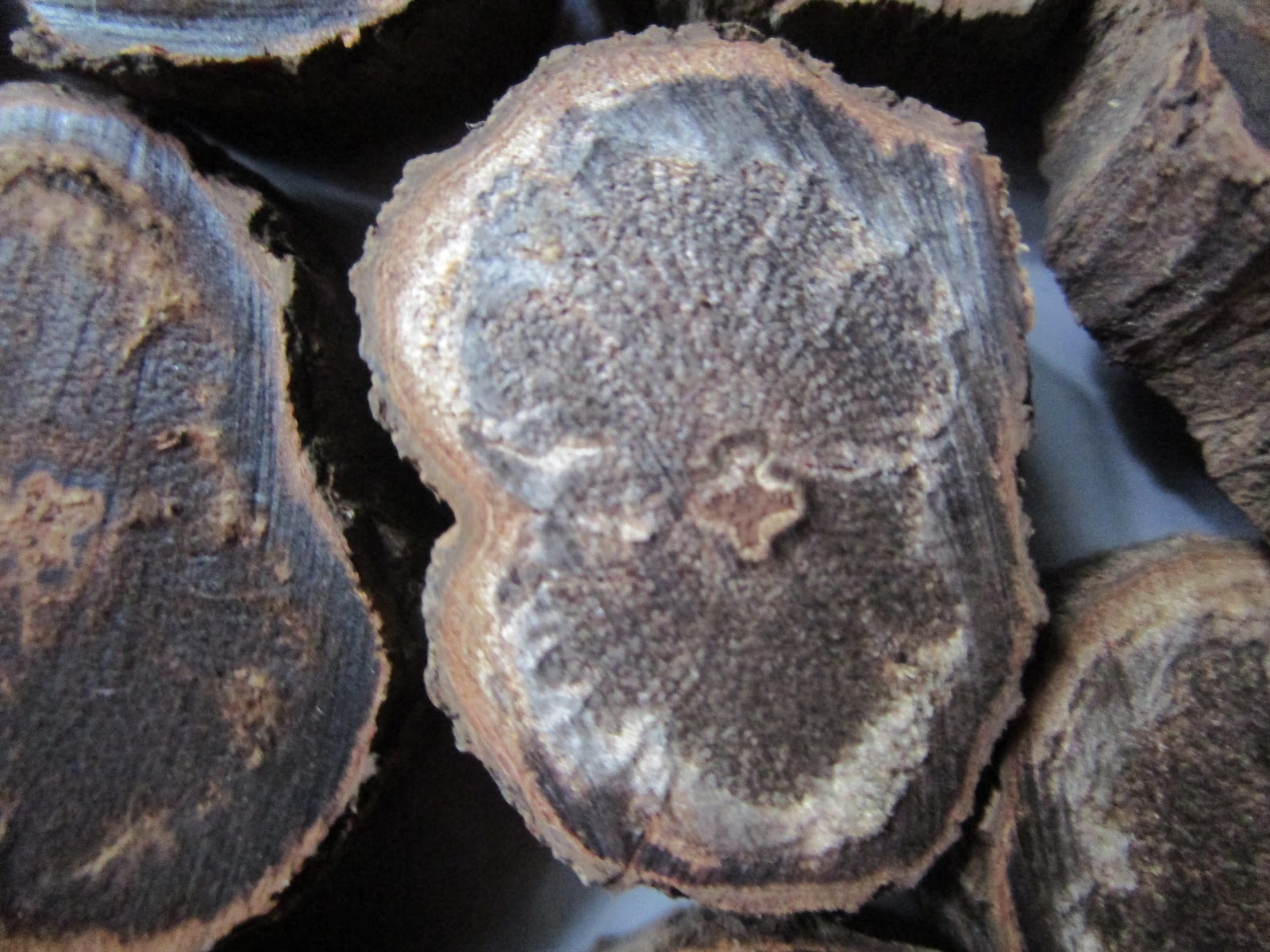 Tony Perez's Electronic Diary (December 13, 2015 - May 13, 2016): Sinukuan