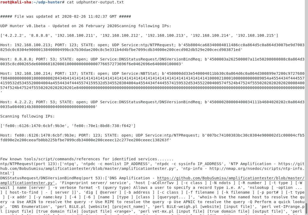 UDP Hunter - An Open Source Network Assessment Tool