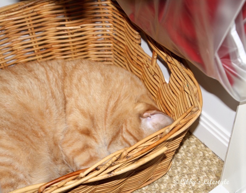 Shopping Trolley Cover: The do's and don'ts tutorial. | Libby's Lifestyle.