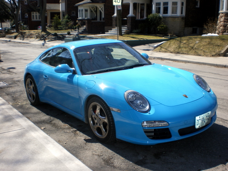 Cynful Musings: Signs of Spring