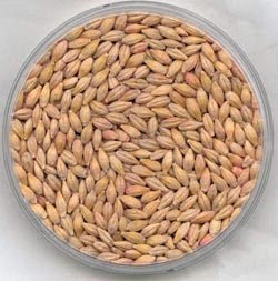 1001 Diet: Barley