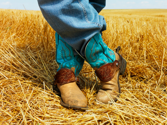 Voxtron Middle East: 5 WAYS TO FIND YOUR INNER COWBOY AT THE VERINT ...