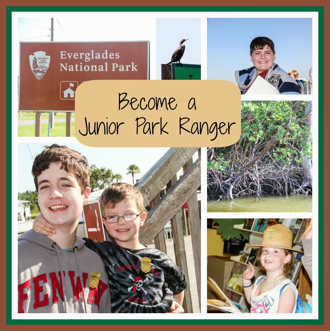 Adventures with Jude: Becoming Junior Rangers: Everglades National Park