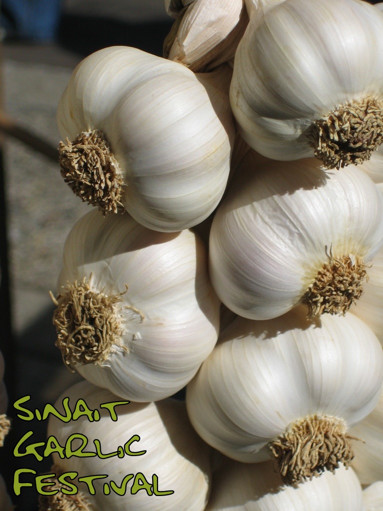 Sinait Garlic Festival | The Quest Boi -Travel Blog