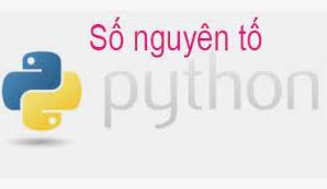 Viết chương trình kiểm tra số nguyên tố python - Thủ thuật lập trình