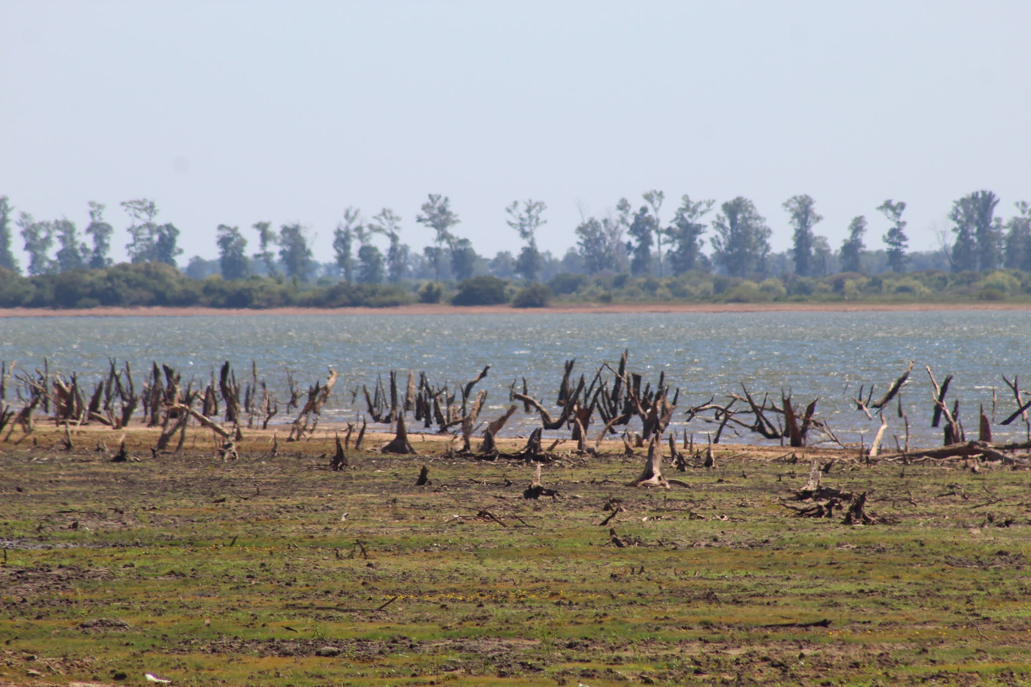 ASOCIACION ECOLOGISTA RIO MOCORETA: EL RIO URUGUAY ESTA BAJO, EN LA ...