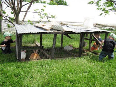 Two Bears Farm and the Three Cubs: Touring Polyface Farms - Rural Thursday