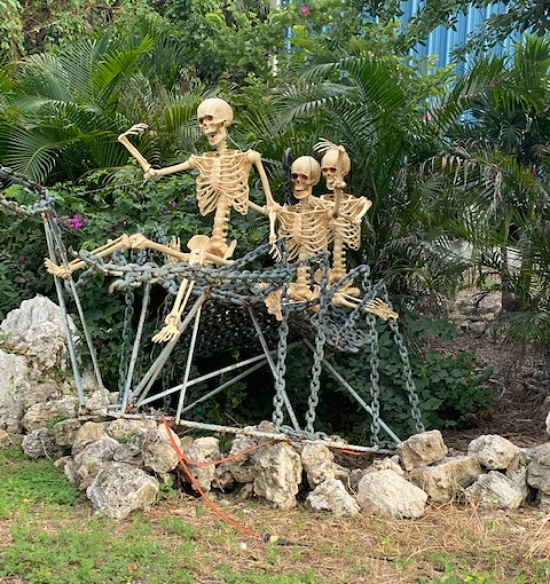 Runs for Cookies: Super Creative Skeleton Displays for Halloween! (repost)