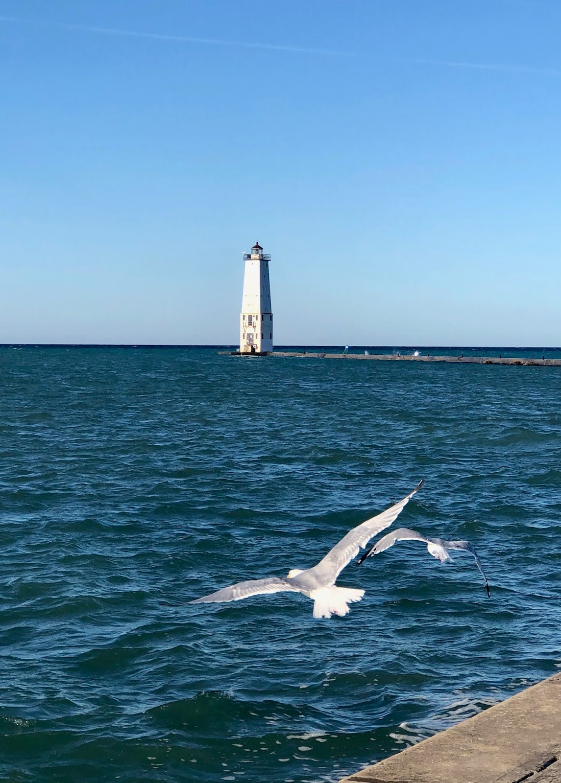 Living on Cloud Nine: THE THING ABOUT WIND & LAKE MICHIGAN
