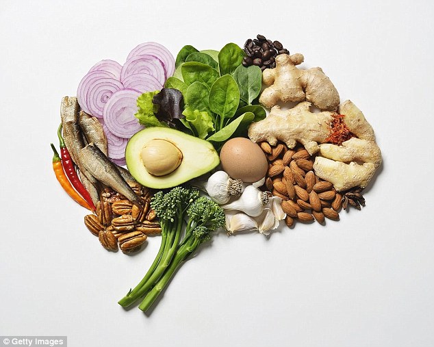 FEED YOUR BRAIN feed-your-brain