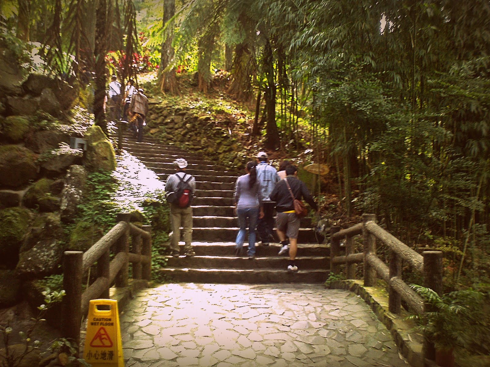 Wander Girl: Xitou Forest Recreation Area