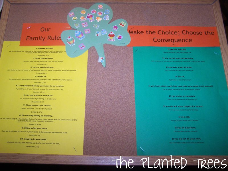 Rules And Consequences Chart