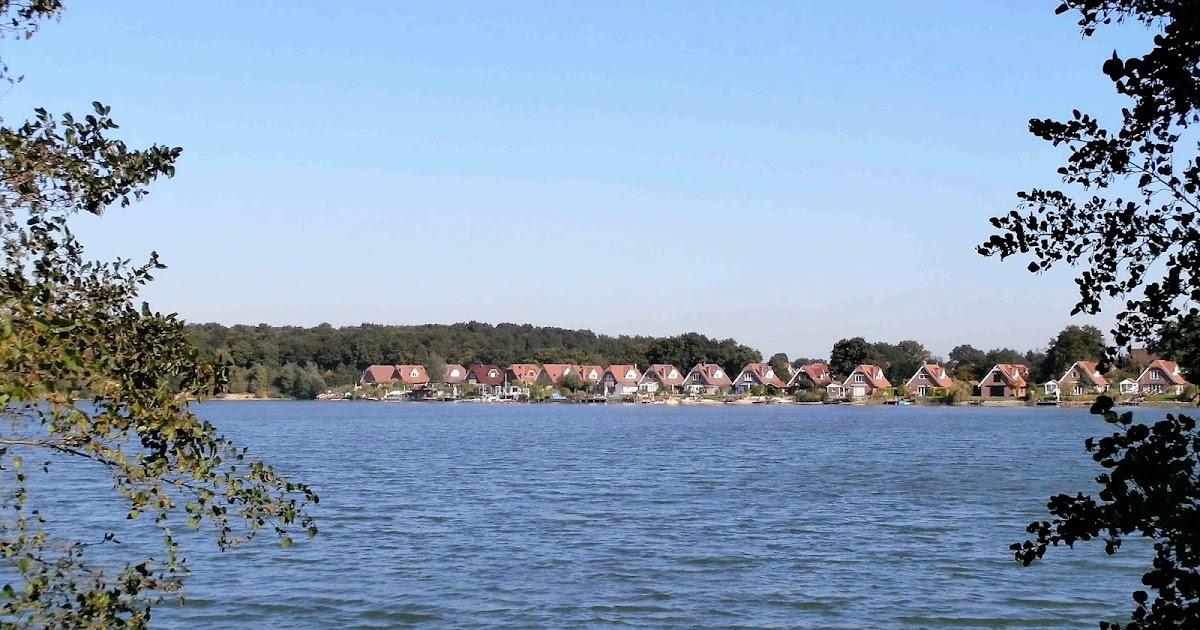 Mooiste Routes: Wandelen bij Winterswijk Woold (Gelderland)