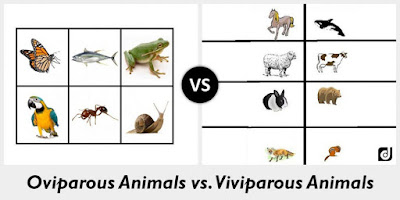NATURAL SCIENCE 2: UNIT 2 THE NATURE OF LIFE