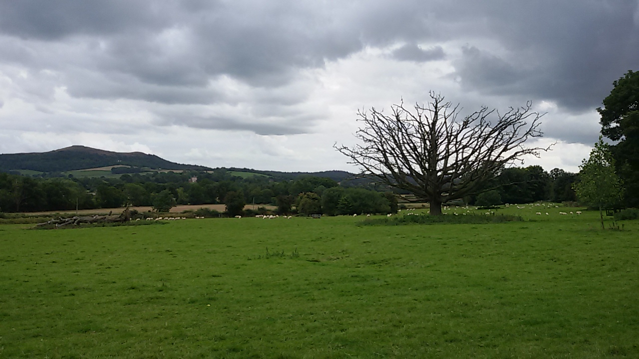 Nataraja's Foot: Old Colwall House