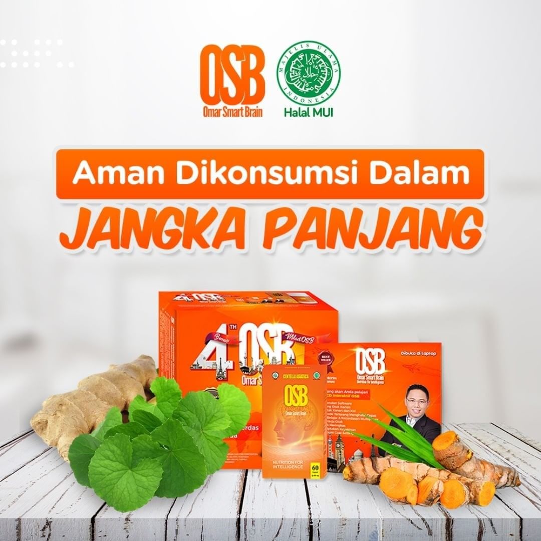 Jual Suplemen Vitamin Otak Terbaik Agen OSB Hp 08119299658