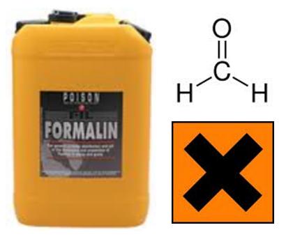 Identifikasi Formalin & Boraks pada Bahan Pangan