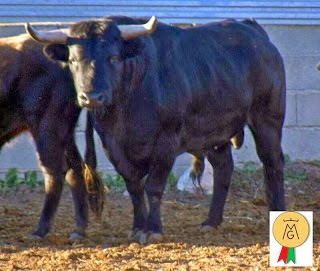 01/07/14 ~ FECARTOROS