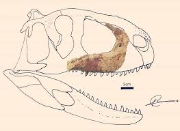 Noticias de Paleontologia: Tralkasaurus cuyi, un nuevo dinosaurio ...