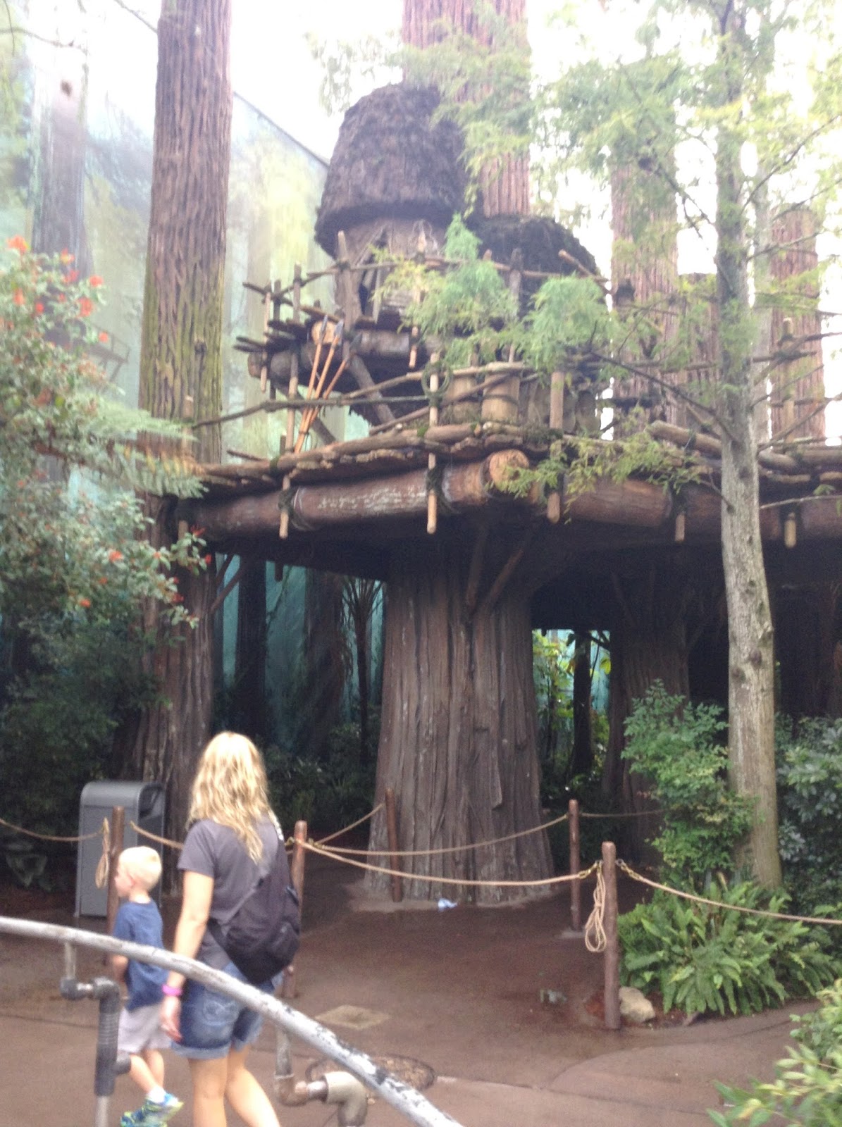 In a Galaxy Far, Far Away ... in Disney World!