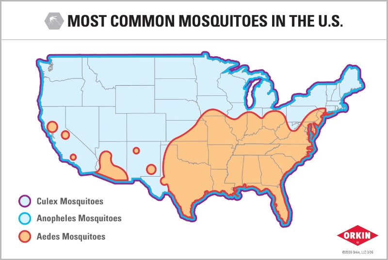 Atlanta, Southeast Region Top Mosquito Cities List - Gr8LakesCamper