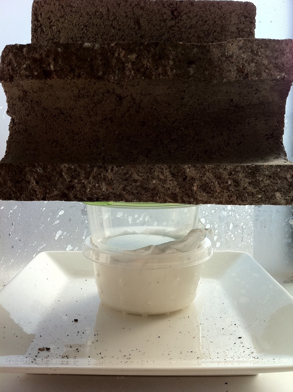 Knifing Forking Spooning: Making a Cheese Press and Mold - Homemade ...