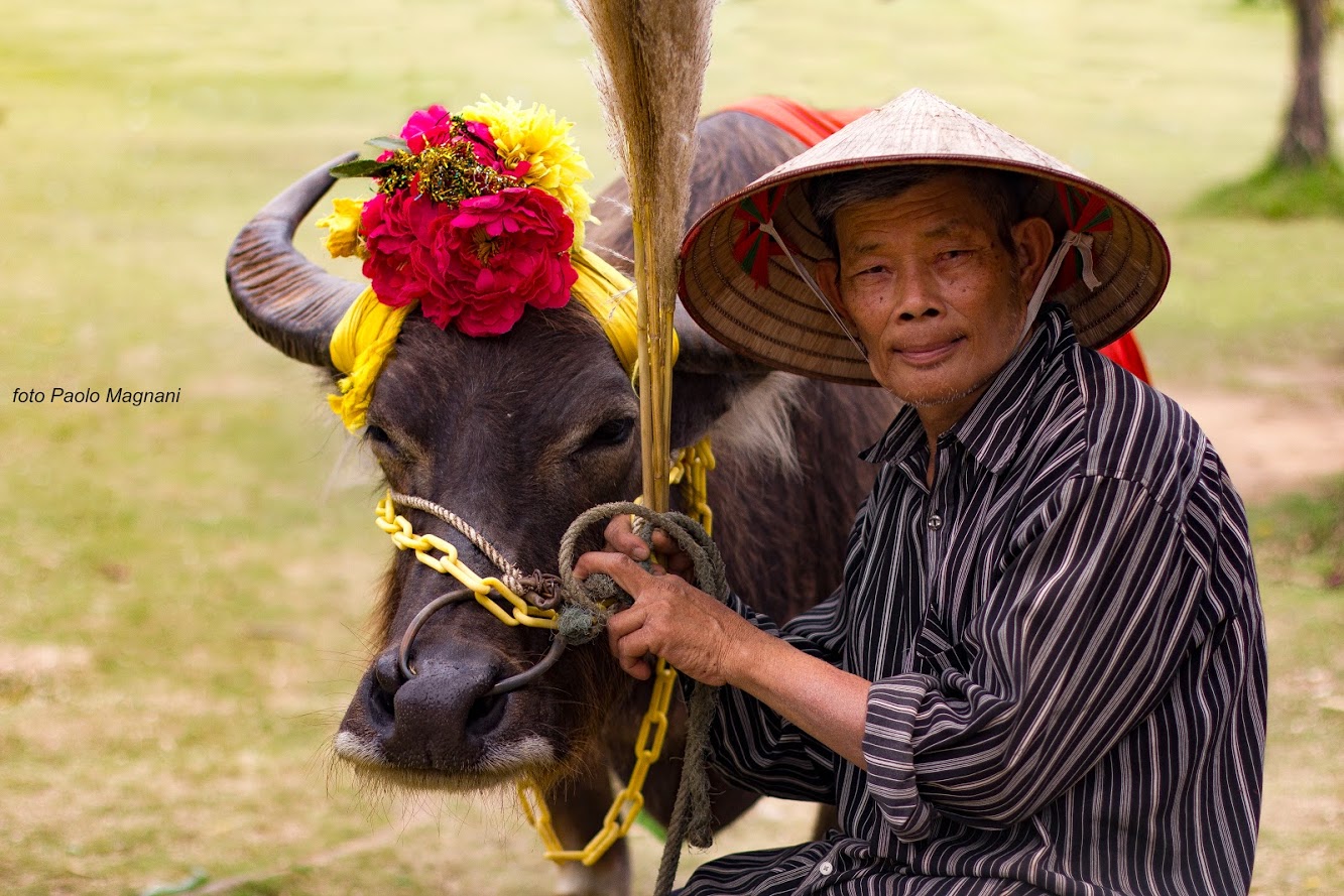 The Kings of the Dinh and Le Temple | Blog de' il Magno