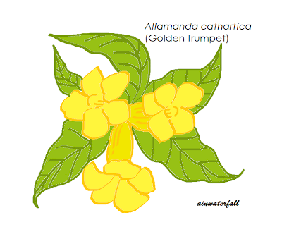 My Gallery: May 2012