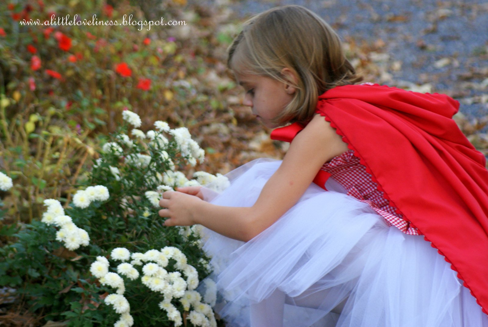 A Little Loveliness: Little Red Riding Hood: A Story in Pictures