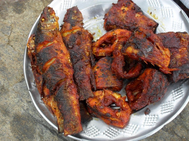 A Trip to Hogenakkal