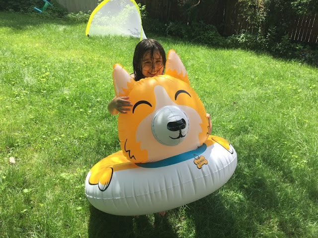 Inspired by Savannah: The Giant Corgi Pool Float and Matching Dog ...