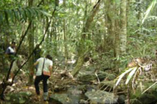 Attraction of Labugama