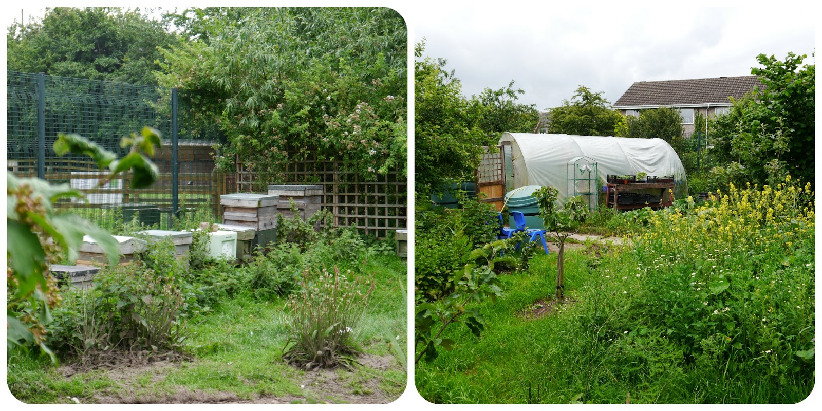 The Mummy Diary: Stonebridge City Farm