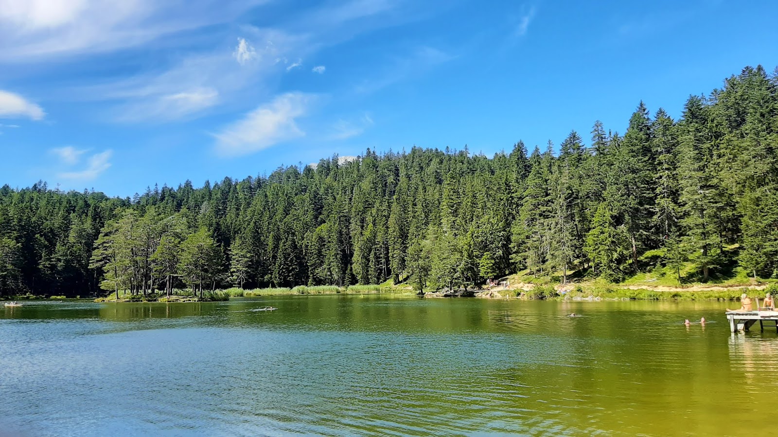 Natur Pur - aber nicht nur -Fotos aus der Heimat und mehr: Seefelder ...