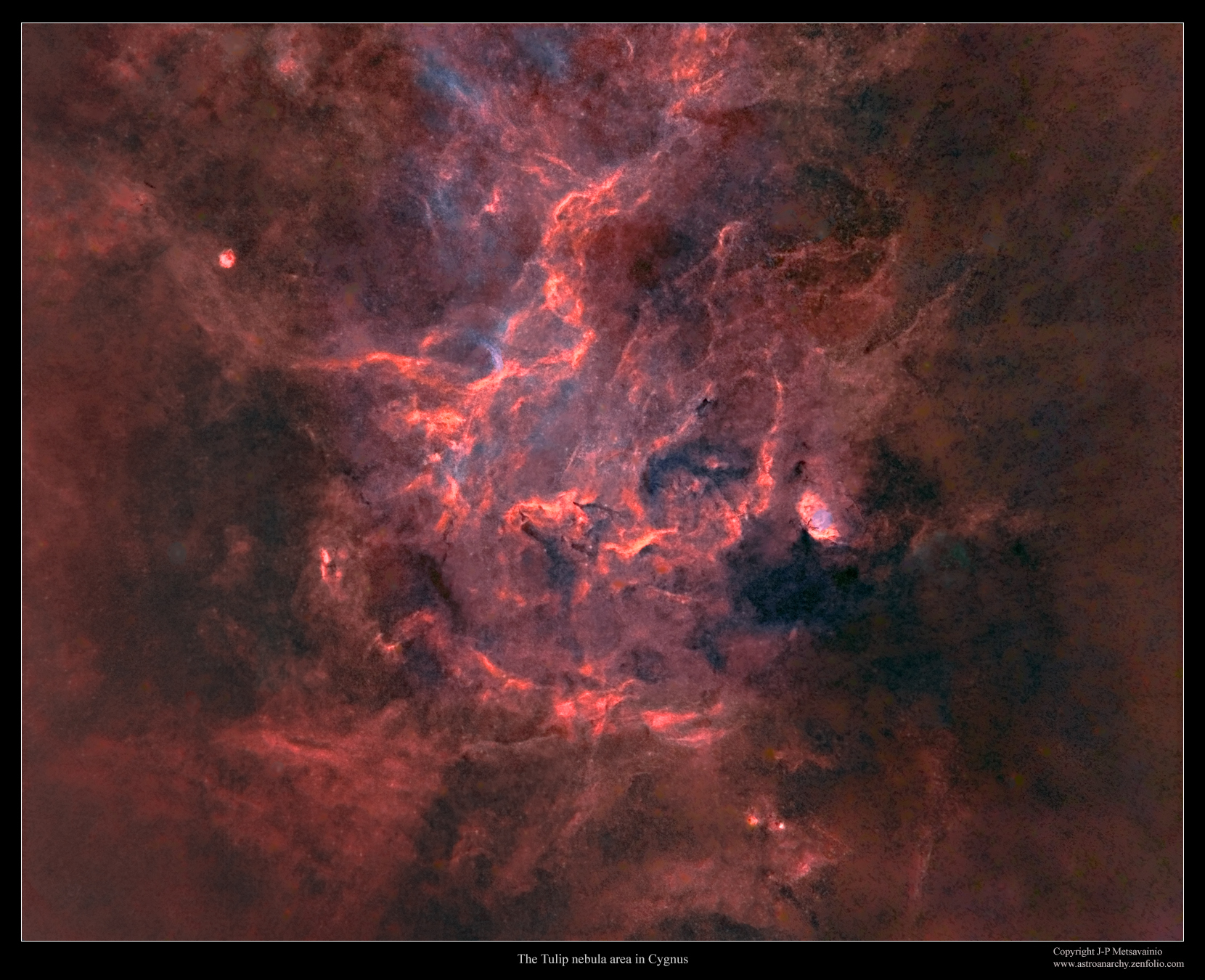 Astro Anarchy: The Tulip nebula area in cygnus, Sh2-101, in natural colors