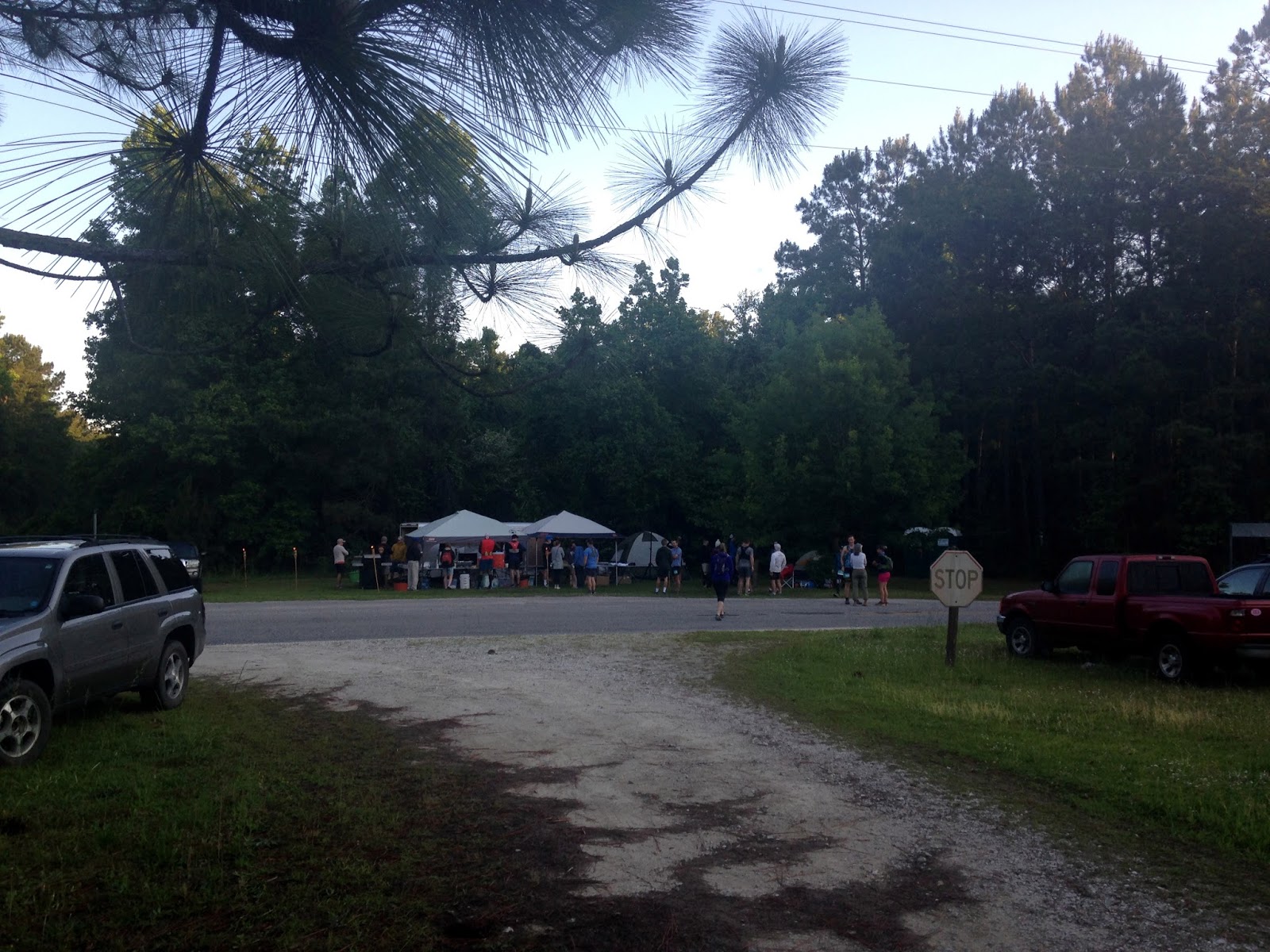 High Country Beta: Wambaw Swamp Stomp 50k