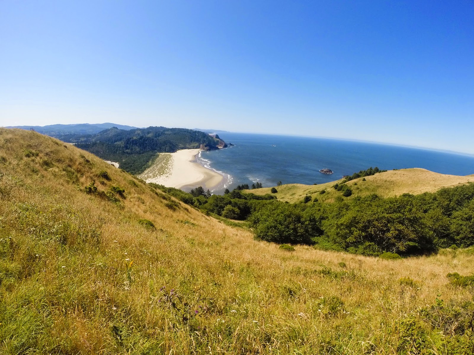 Hiking the Great Northwest: Cascade Head Hike
