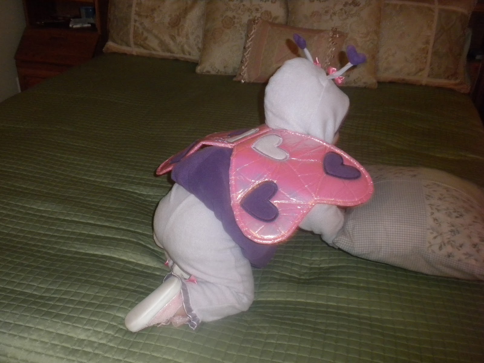 The Claybrook Family