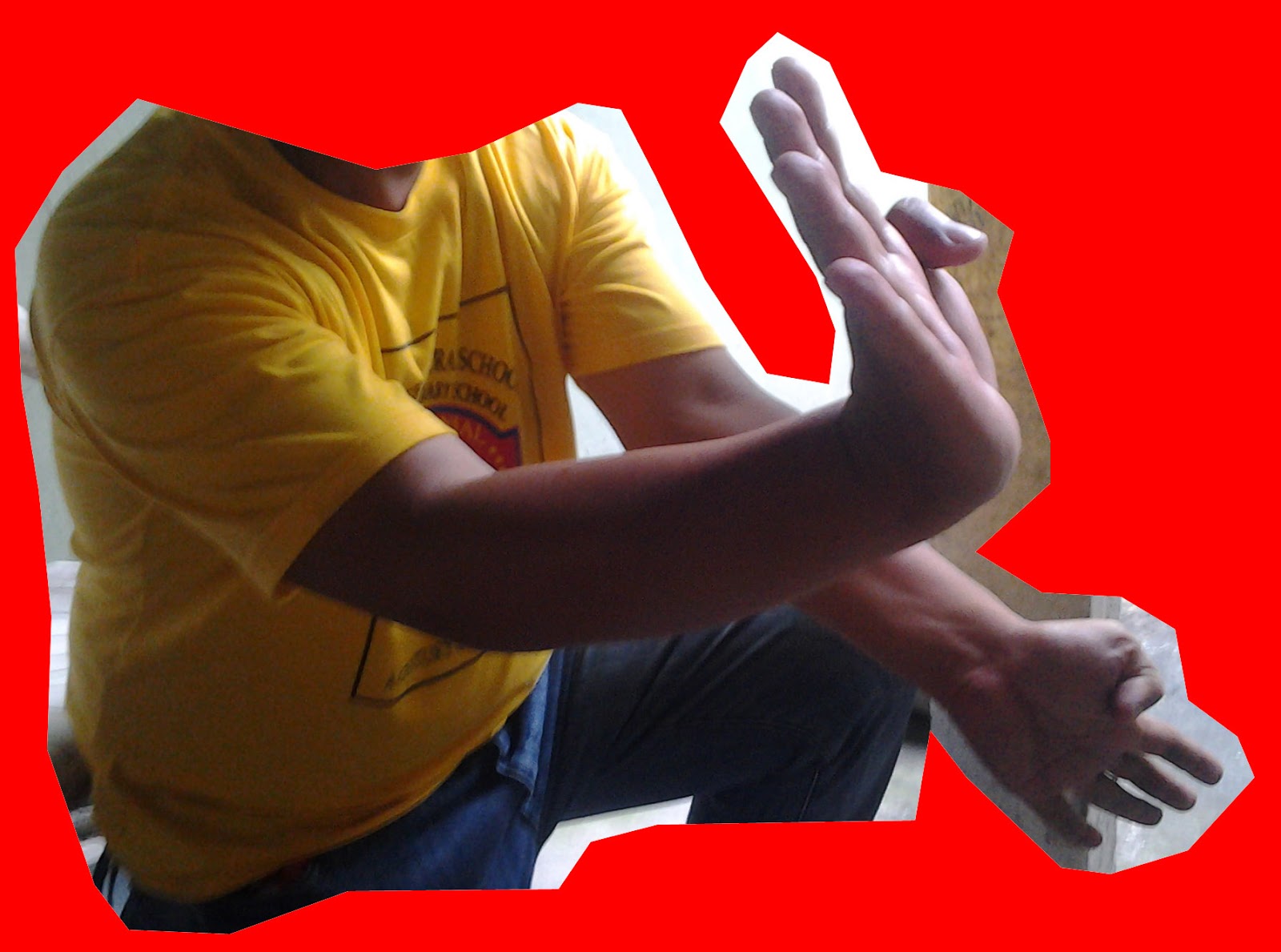 Mantis36: GO CHO KUNG FU: Alphabets of Techniques