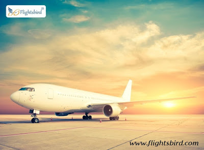 Enjoy The Ultimate Cheap Airline Tickets With Flightsbird: Top 4 Most ...