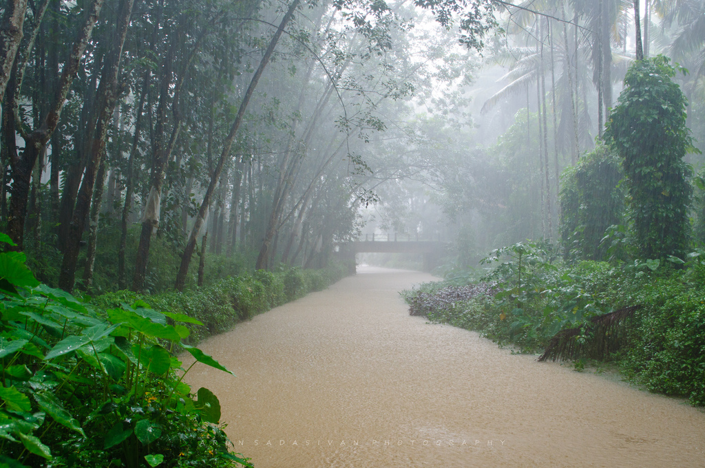 Tribhawan Kaul Rain Translated Into French tribhawan-kaul-rain-translated-into-french