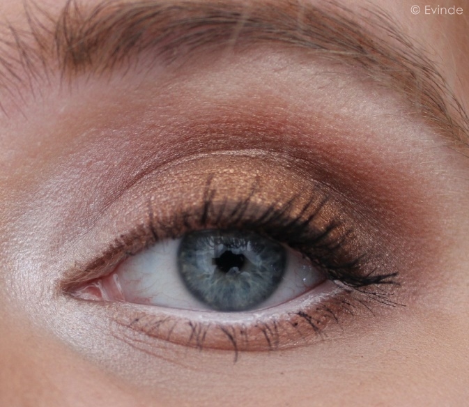Warm Makeup Look Using Coastal Scents Hot Pots | Review | Evinde's Blog