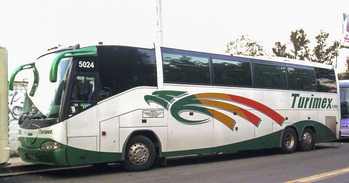 MAXIBUSES: TURIMEX