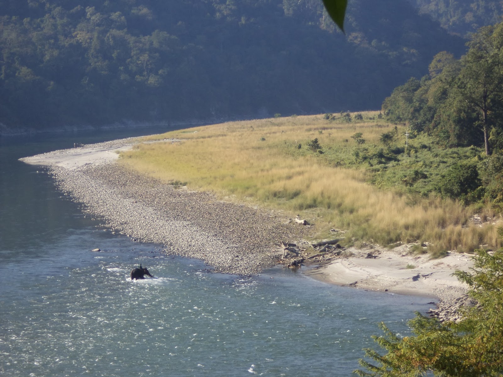 Lets spend your moment at Manas National Park