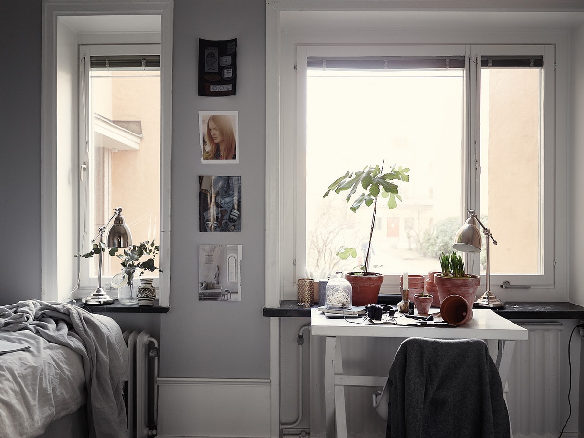 Gray shades and unique atmosphere