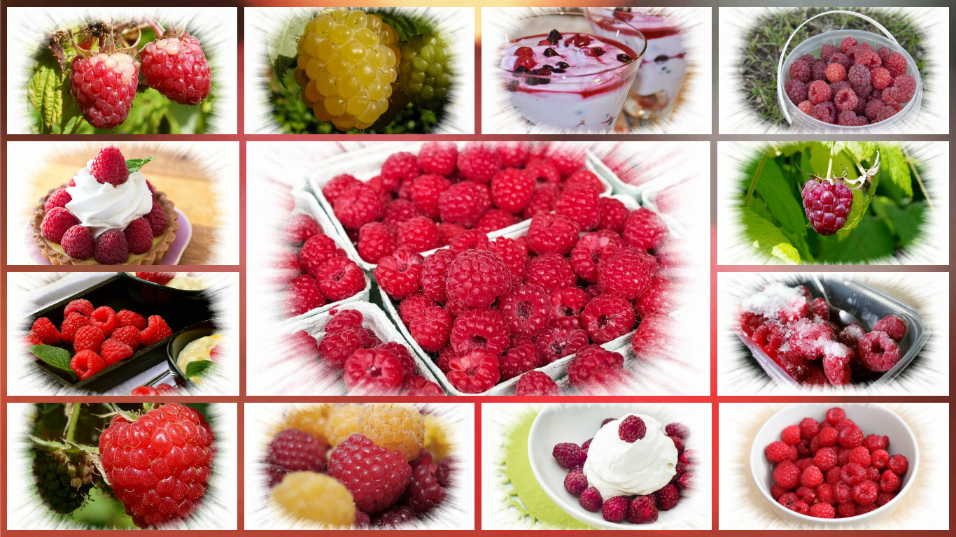 Vorratshaltung, Garten, Kochen, Rezepte, Gesundheit, Dekoideen ...